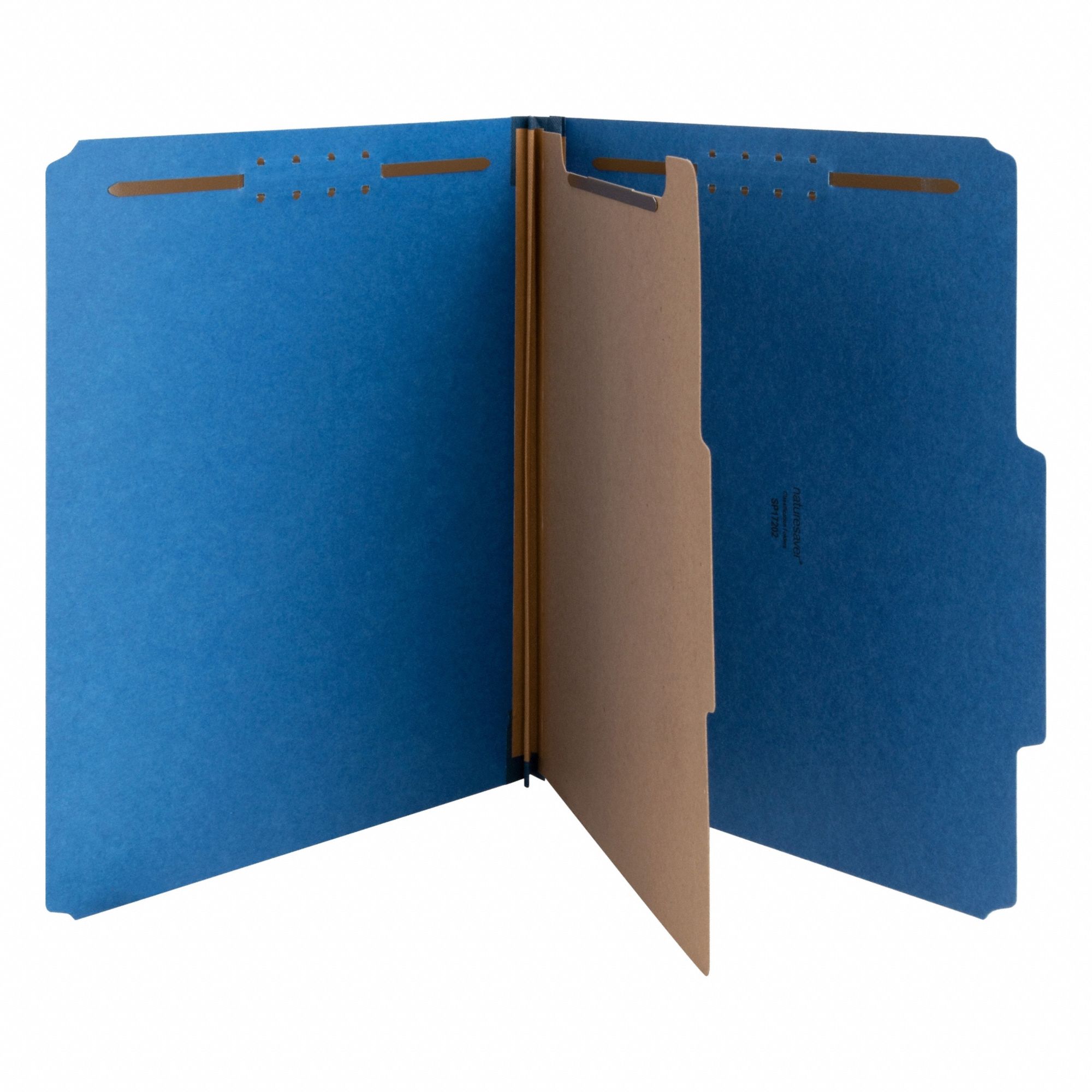 NATURE SAVER, 11 in Ht, 8 1/2 in Wd, Classification File Folder ...