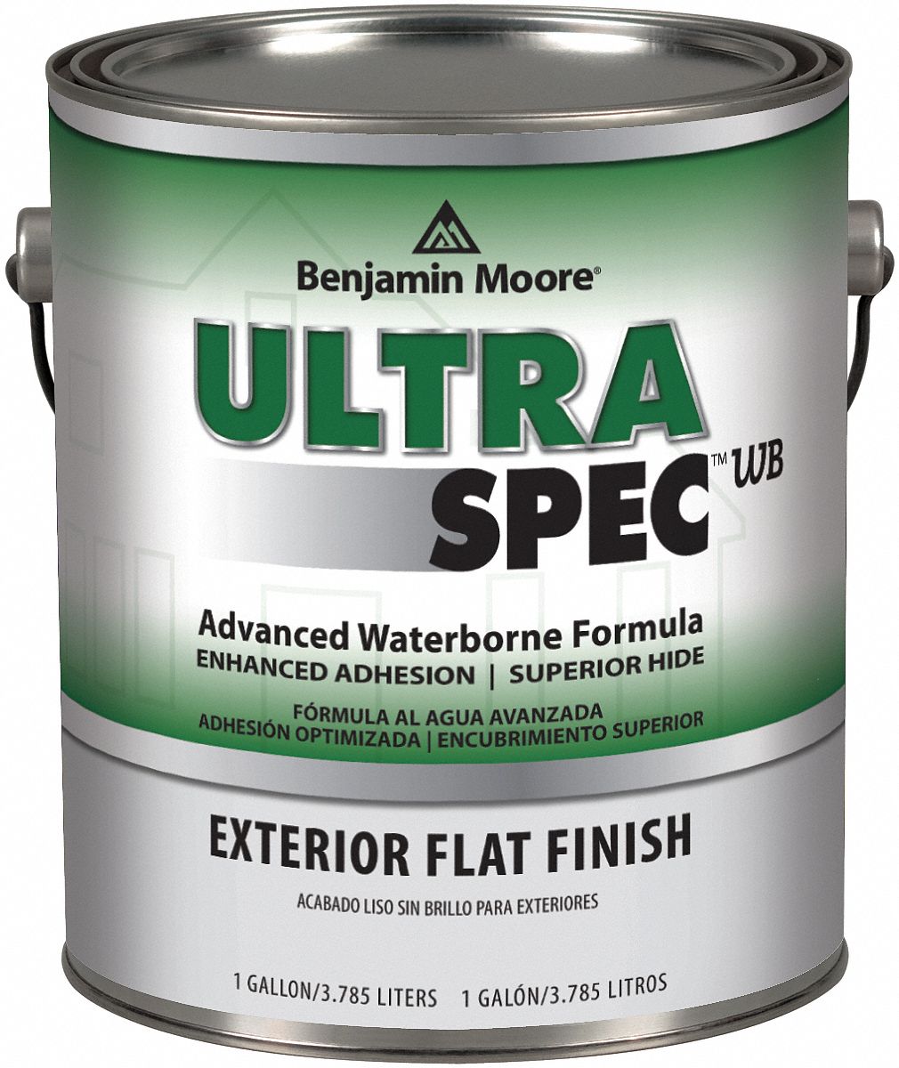 BENJAMIN MOORE Flat Exterior Paint Base, Grasshopper, 1 gal - 10V228 ...