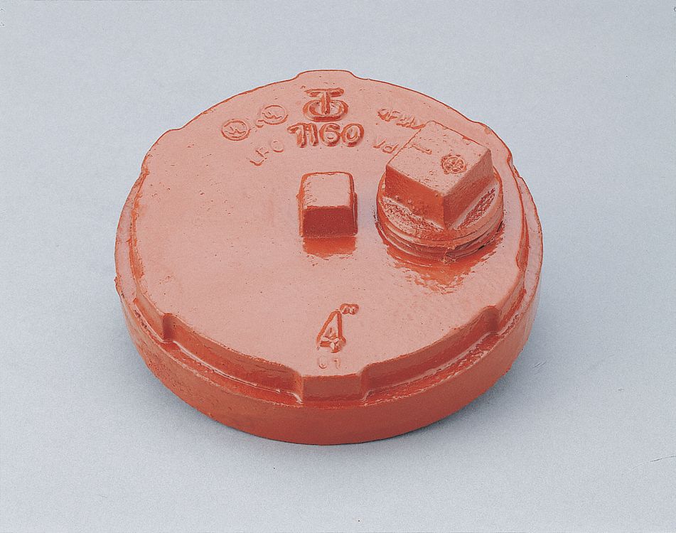 APPROVED VENDOR CAP 7160 GRV 8IN - Ductile Iron Pipe Fittings ...