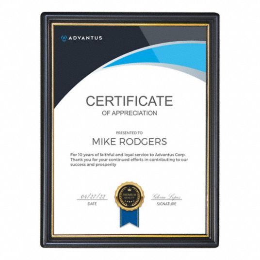 NUDELL, 8 1/2 in x 11 in, Black/Gold, Document Frame - 5YGE4|11818 ...