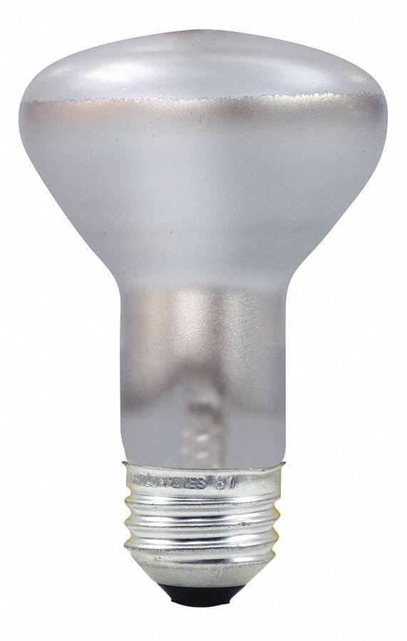 SHAT-R-SHIELD Incandescent Reflector Lamp, R20, Medium Screw (E26 ...