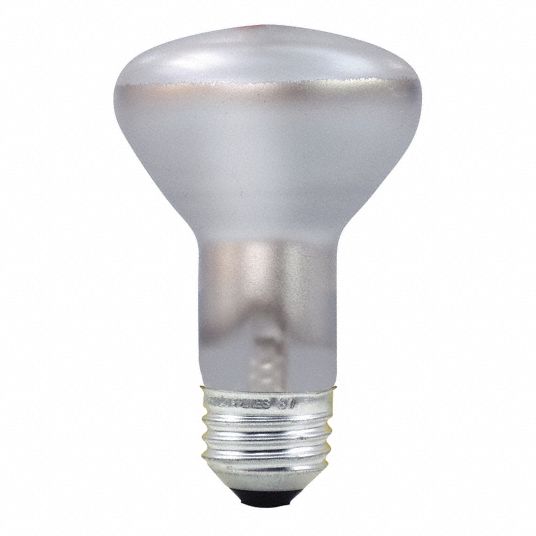 SHAT-R-SHIELD Incandescent Reflector Lamp, R20, Medium Screw (E26 ...