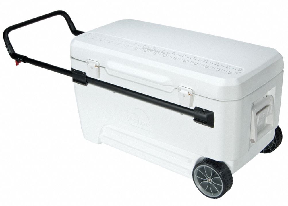 IGLOO, White, 110 qt Cooler Capacity, Chest Cooler - 15F172|45184 ...
