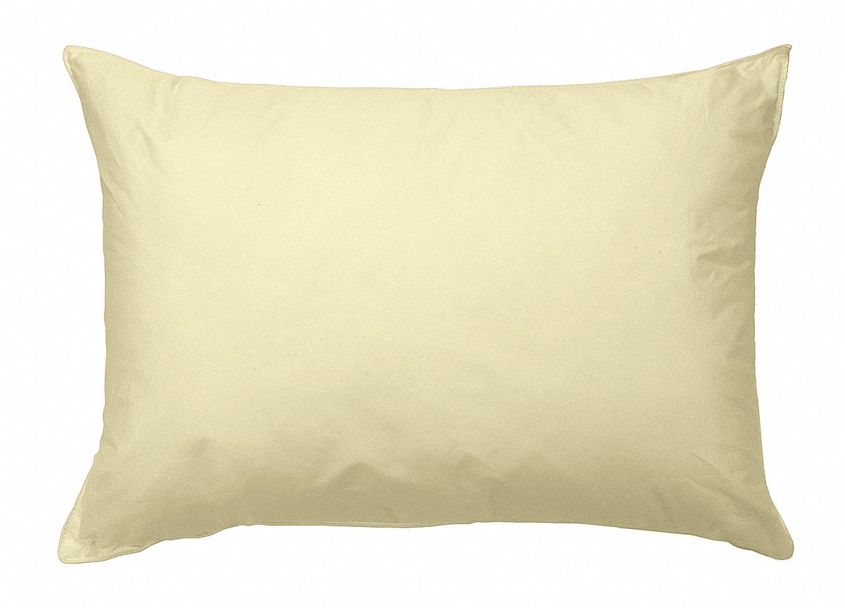 26 in x 19 in Standard Polyester Fill Pillow, Cream - Grainger