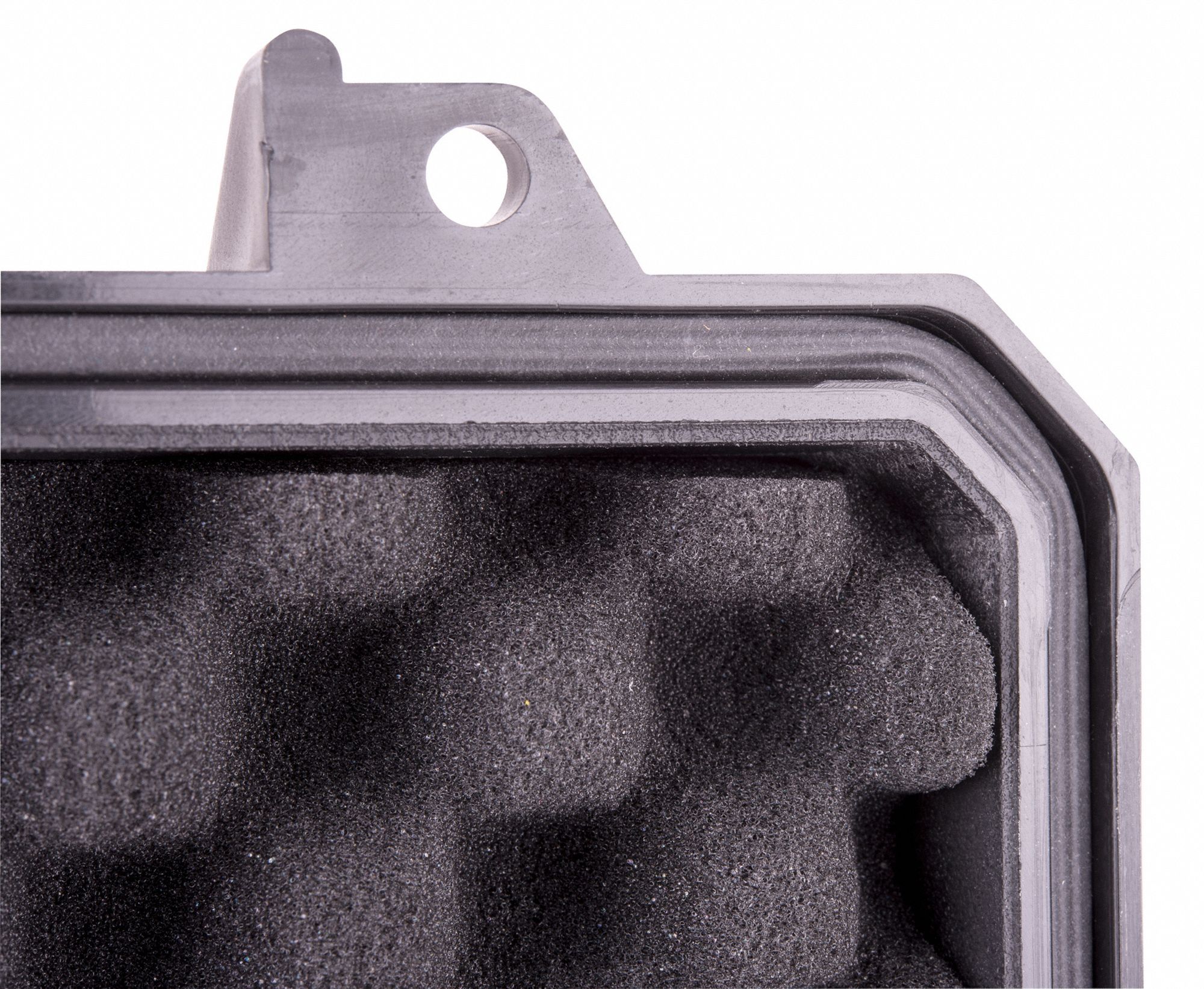 REED INSTRUMENTS Hard Carrying Case: Plastic, 6 3/4 in Overall Ht, 12 5 ...