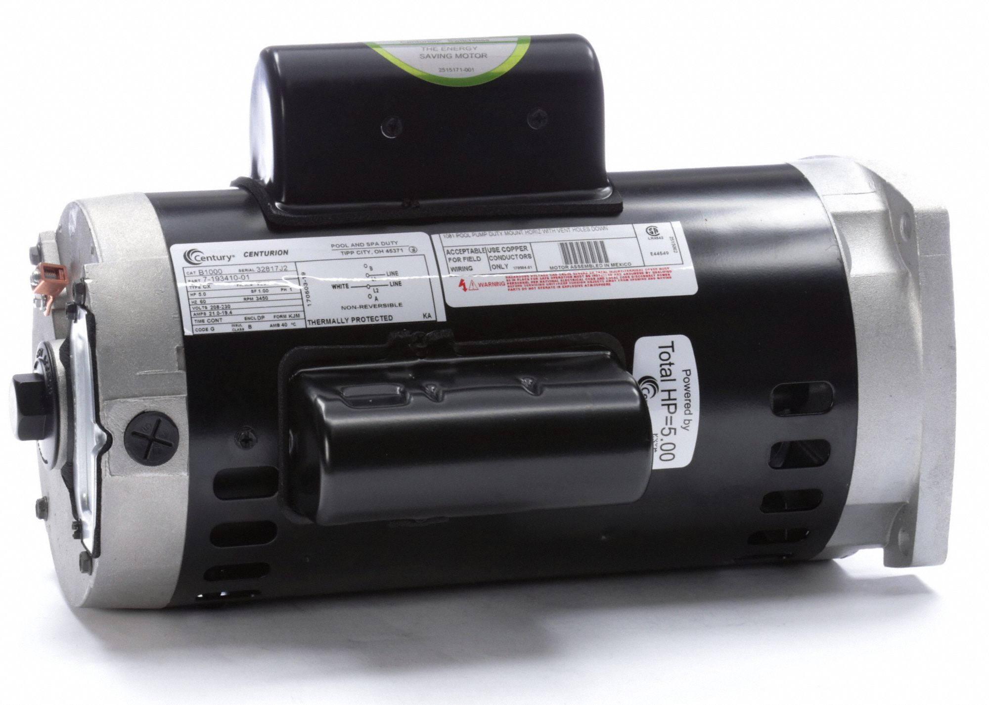 CENTURY Pool and Spa Pump Motor: Face Mounting, 5 HP, 1 Motor Service ...
