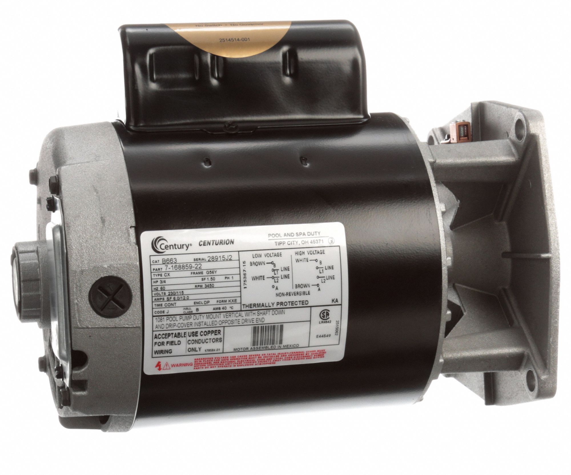 CENTURY Pool and Spa Pump Motor: Face Mounting, 3/4 HP, 1.5 Motor ...