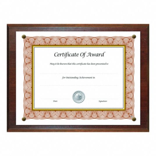 NUDELL, 10 1/2 in x 13 in, Brown, Display Plaque - 5YGD8|18811M - Grainger