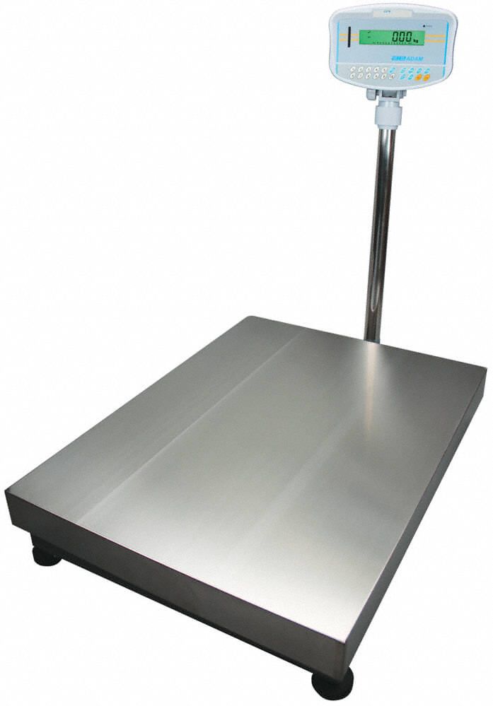 ADAM EQUIPMENT Floor Scale: 660 lb Wt Capacity, 19 3/4 in Weighing ...