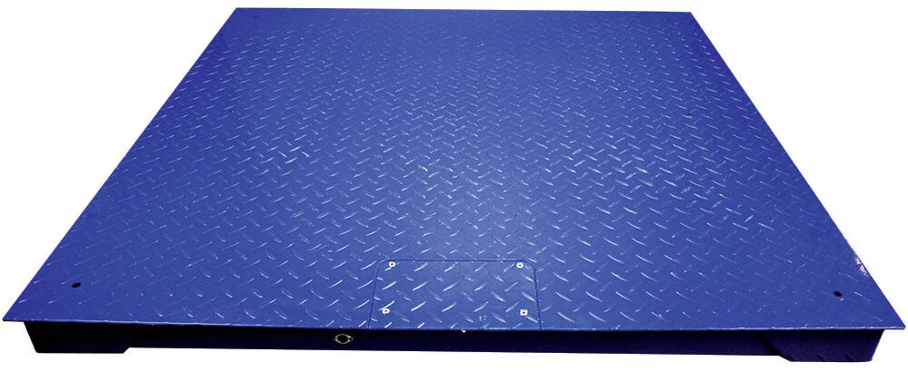 ADAM EQUIPMENT Floor Platform Scale: 5,000 lb Wt Capacity, 48 in ...