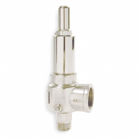 Stainless Steel POP Safety Valve, MNPT Inlet Type, FNPT Outlet Type ...