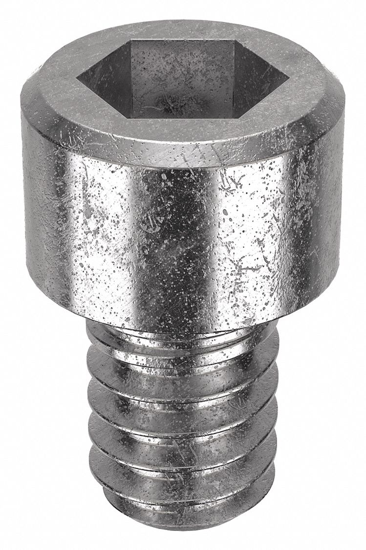 #2-56 Thread Size, 1/8 in Lg, Socket Head Cap Screw - 1GA81|1GA81 ...