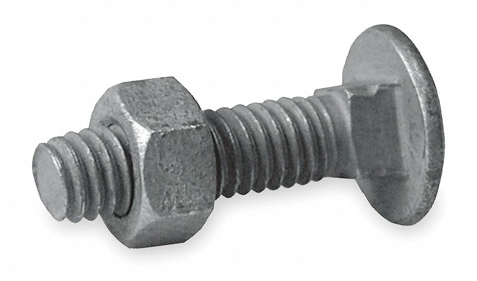 Carriage Bolt w/Nut,2 In. L,PK10 - Grainger