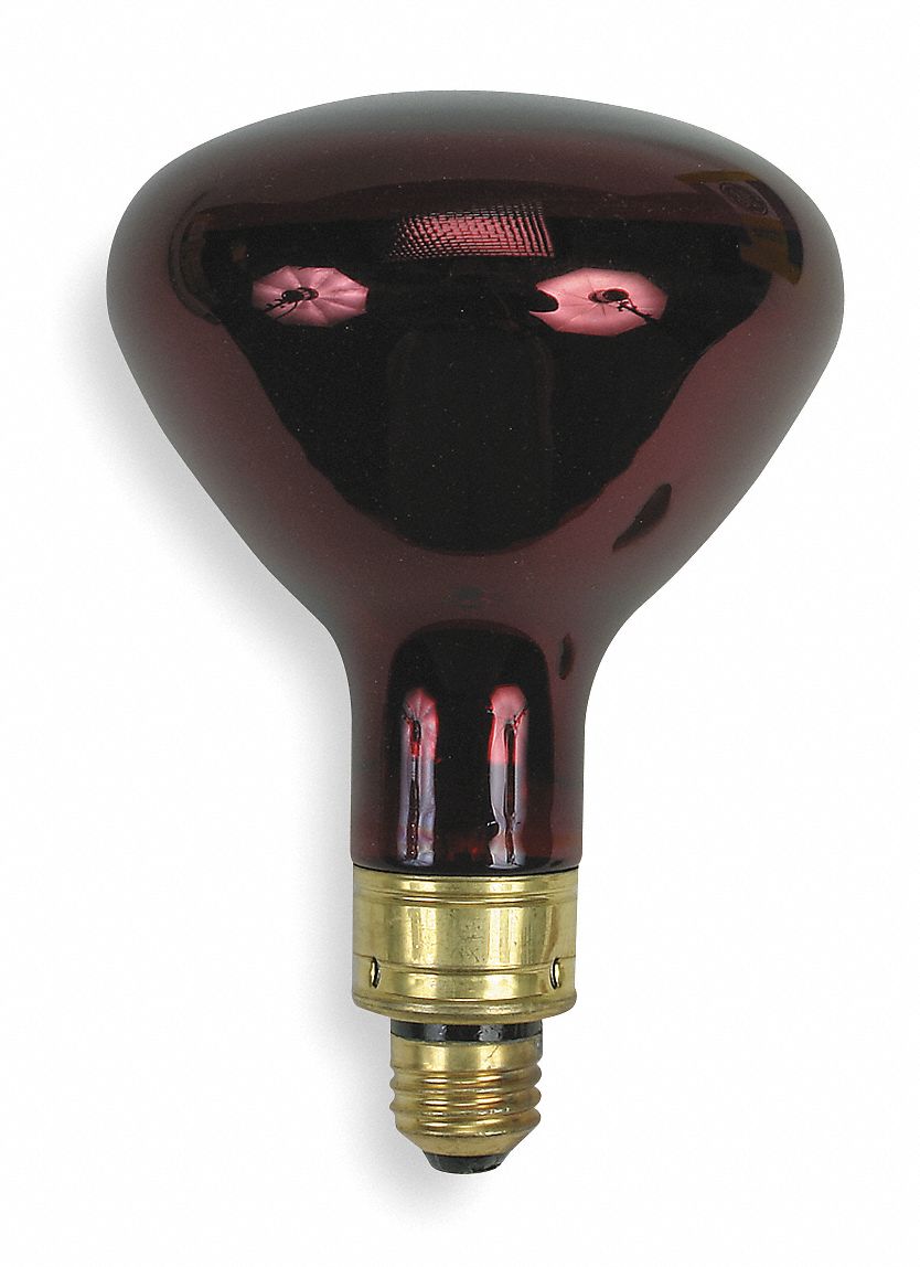 Incandescent Lamp, R40, Watts 375 - Grainger
