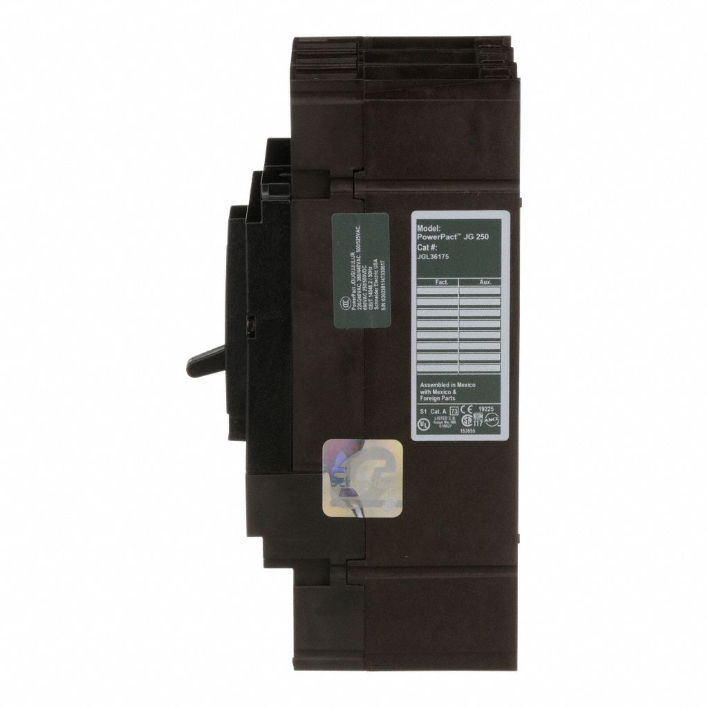 SQUARE D Molded Case Circuit Breaker: 175 A Amps, 25kA at 240V AC ...