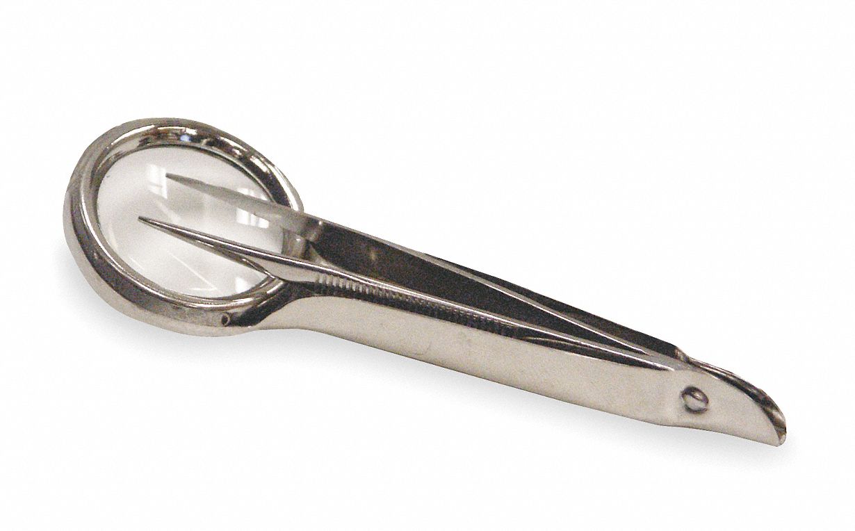 Forceps, 5 in Length, Metal - Grainger