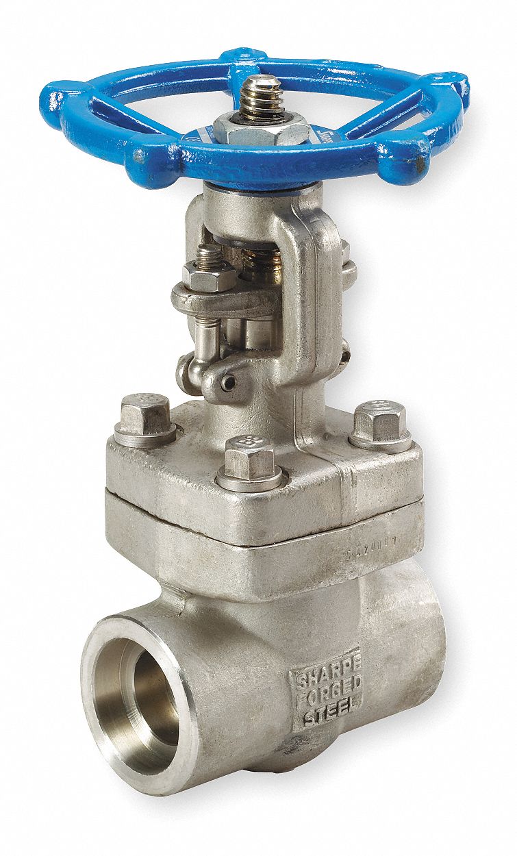 1 in, 316L Stainless Steel, Gate Valve - 1PRK3|4371003880 - Grainger