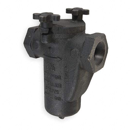 MUELLER STEAM SPECIALTY Basket Strainer: Cast Iron, Single, NPT, 2 in ...