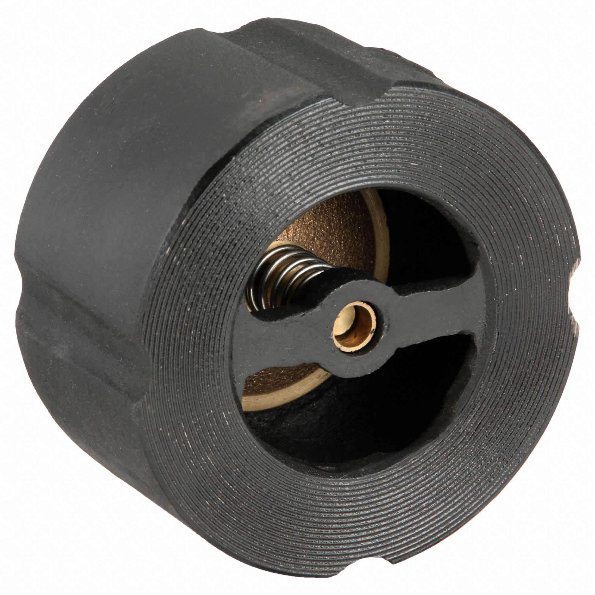 SSI, Swing, Inline Valve Body, Silent Check Valve - 1RXF5|0250-125WCIBM ...