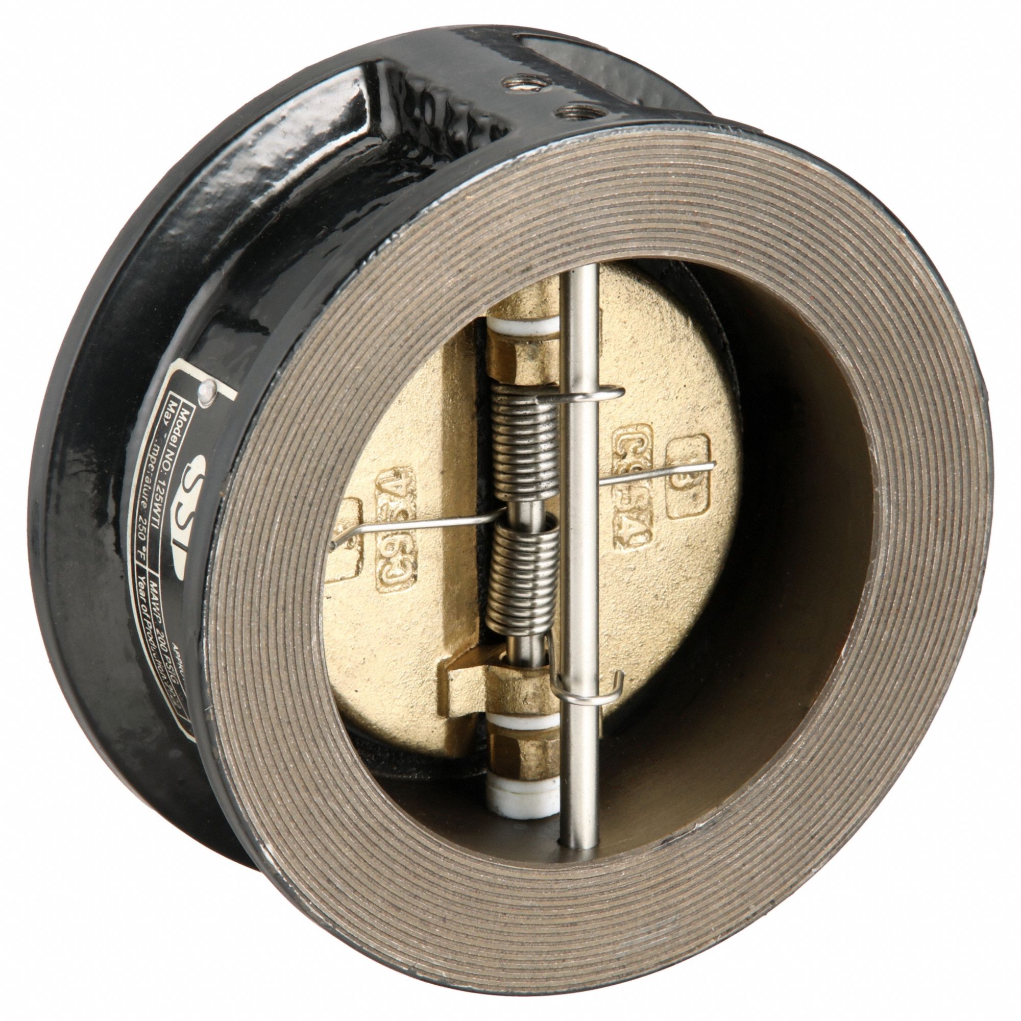 SSI, Double Disc, Inline Valve Body, Double Disc Check Valve - 1RXJ9 ...