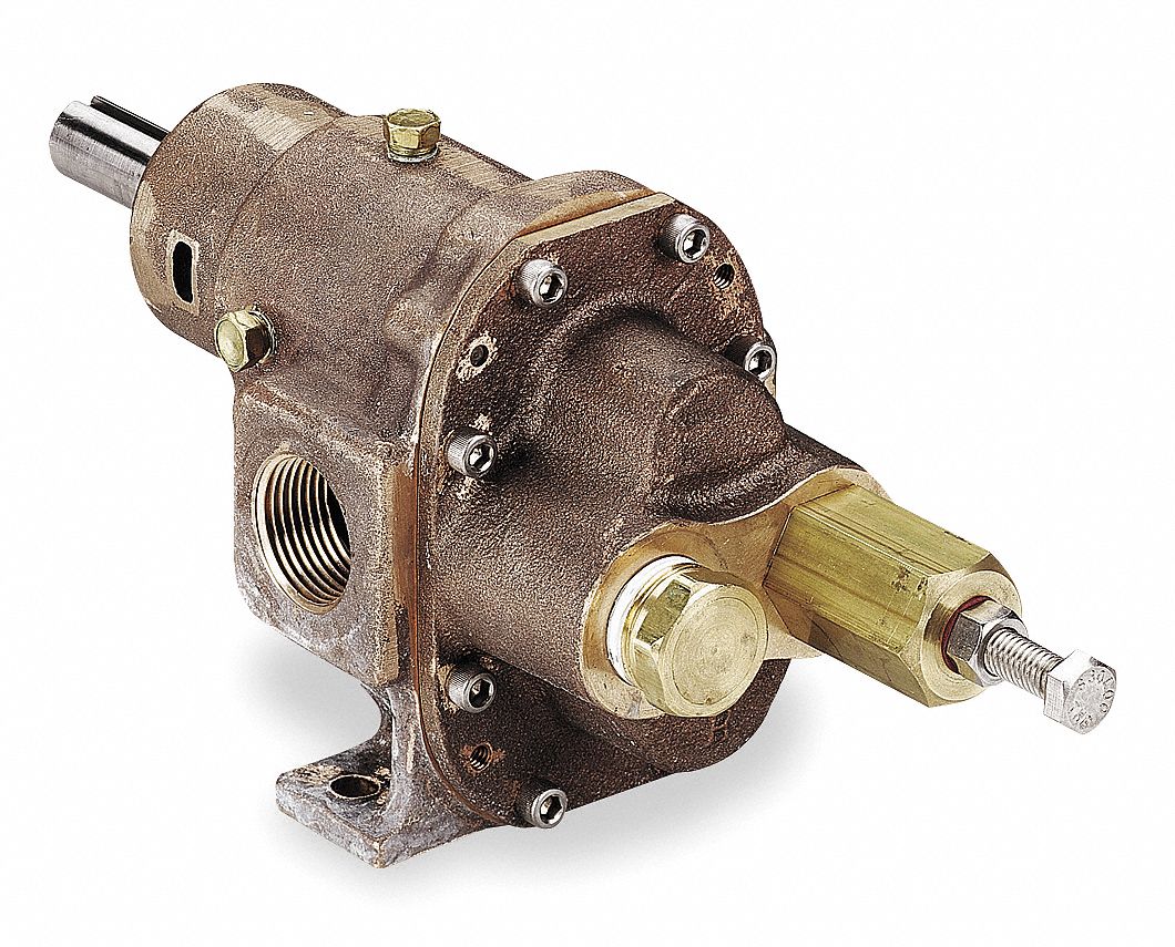 Rotary Gear Pump - Grainger