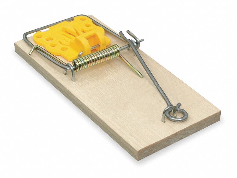 Mouse Trap,3-7/8 In. L,1-3/4 In. W,PK2 - Grainger