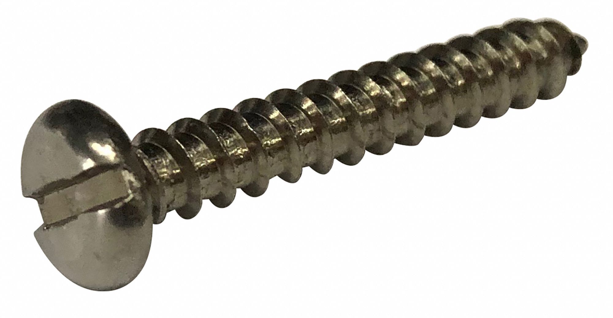 APPROVED VENDOR Tornillo para Lamina 1", Material 18-8 Acero inoxidable, Estilo de la Cabeza Pan ...