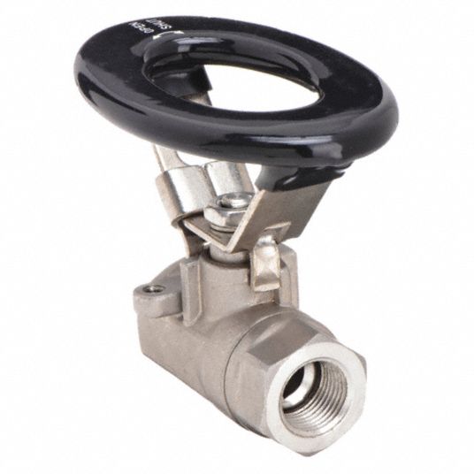 Ball Valve, 316 Stainless Steel, Inline, 2-Piece, Pipe Size 3/8 in ...