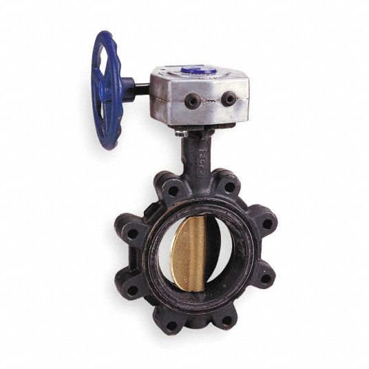Lug-Style Butterfly Valve, Ductile Iron, 200 psi, 8 in Pipe Size - Grainger