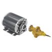 Electric-Operated Gear Pumps - Grainger Industrial Supply