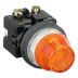 Electrical Control Pilot Lights - Power Indicator Lights - Grainger ...