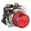 Electrical Control Pilot Lights - Power Indicator Lights - Grainger ...