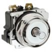 Electrical Control Pilot Lights - Power Indicator Lights - Grainger ...