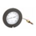 Remote Reading Panel Mount Dial Thermometers - Grainger Industrial Supply