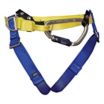 Ladder Rescue & Escape Belts & Harnesses - Grainger Industrial Supply