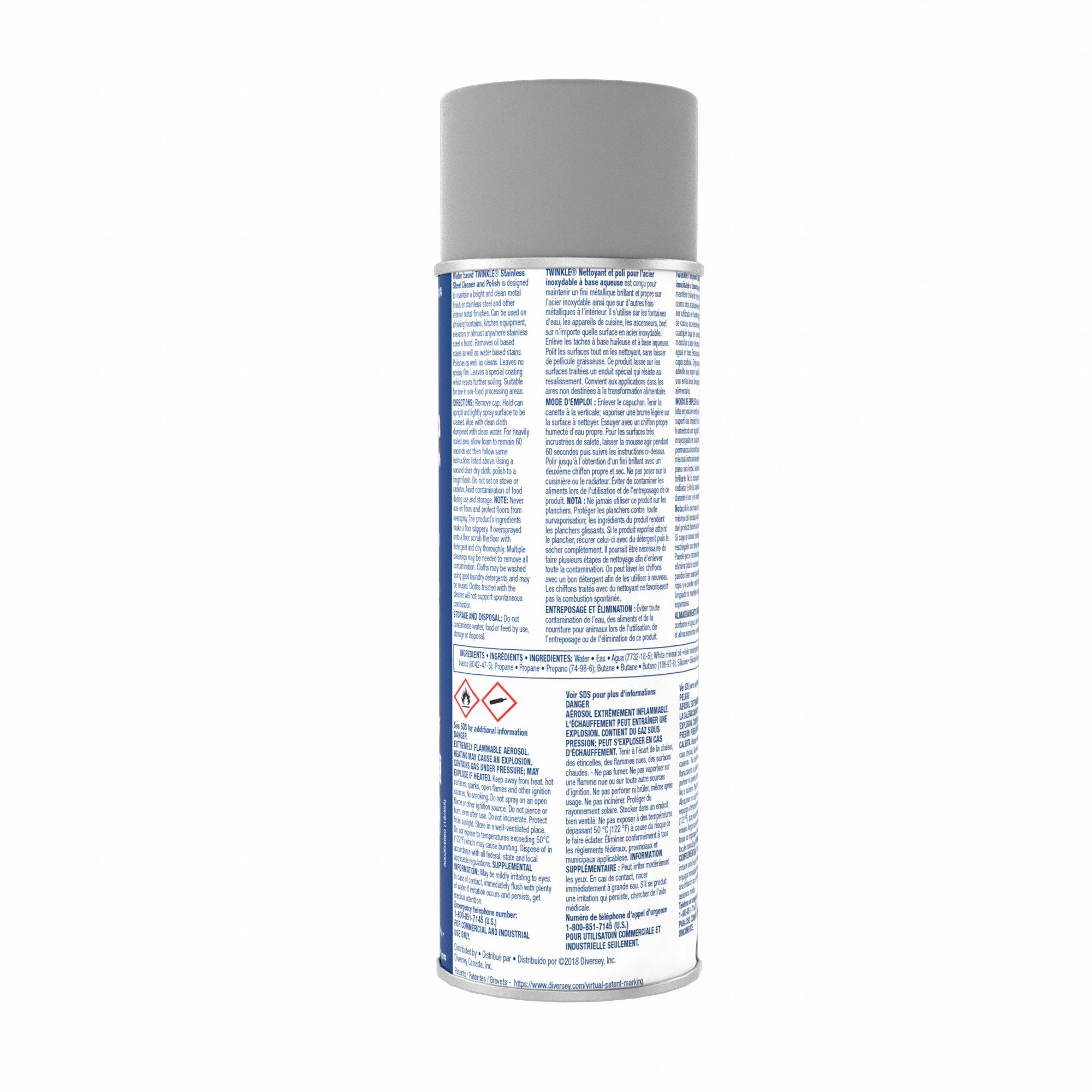 TWINKLE Metal Cleaner and Polish: Aerosol Spray Can, 17 oz Container ...