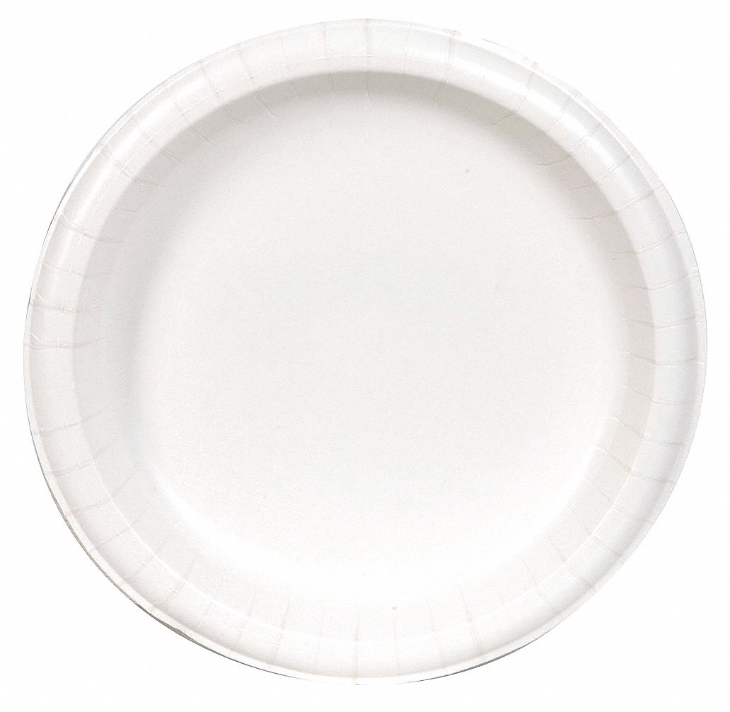 Dinner Plate, Paper, 10 1/16 in, Round, White, PK 500 - Grainger