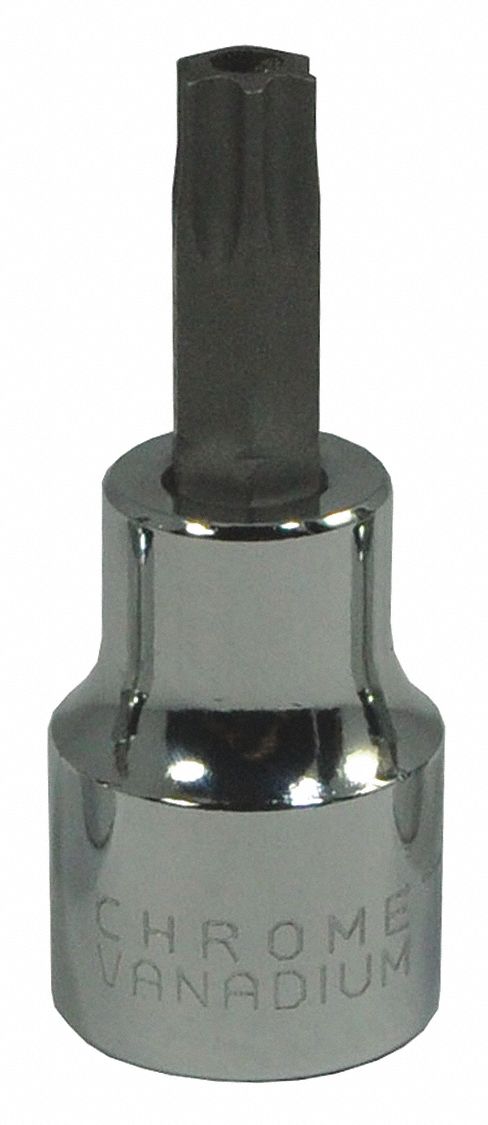 Socket Bit, Insert Length 63/64 in, Tip Size T40 - Grainger
