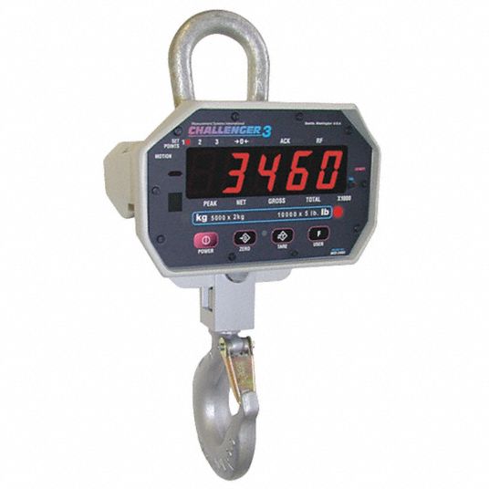 MSI Crane Scale: 2,000 lb Capacity, +/-0.1% Scale Accuracy, 1 lb, Crane ...