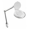 Magnifier Lights - Grainger Industrial Supply