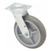 Standard Plate Casters - Grainger Industrial Supply
