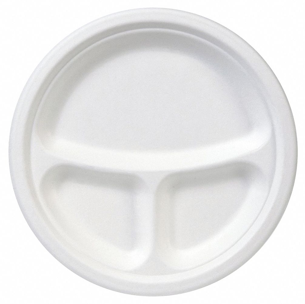 DIXIE, White, 10 in Disposable Plate Size, Disposable Plate - 21AM90 ...
