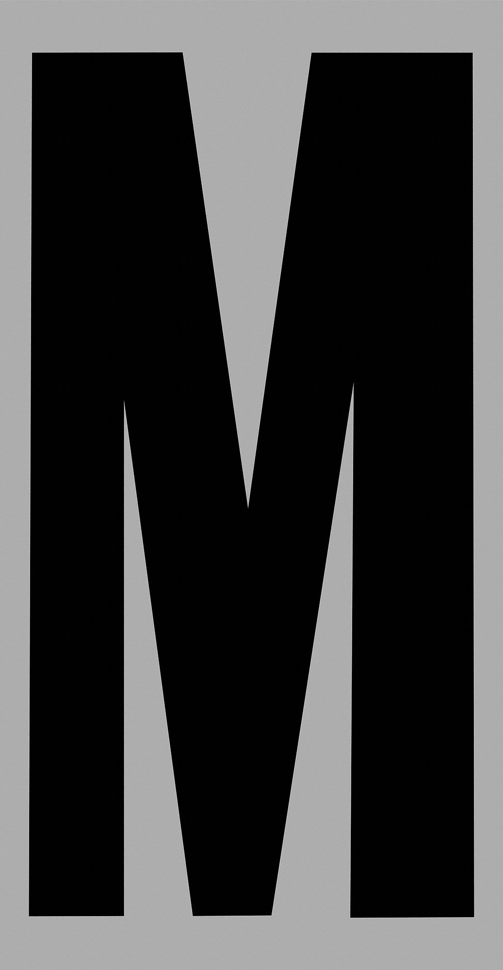 Letter Label, M, Black/Silver, 3 in Character Height, 1 EA - Grainger