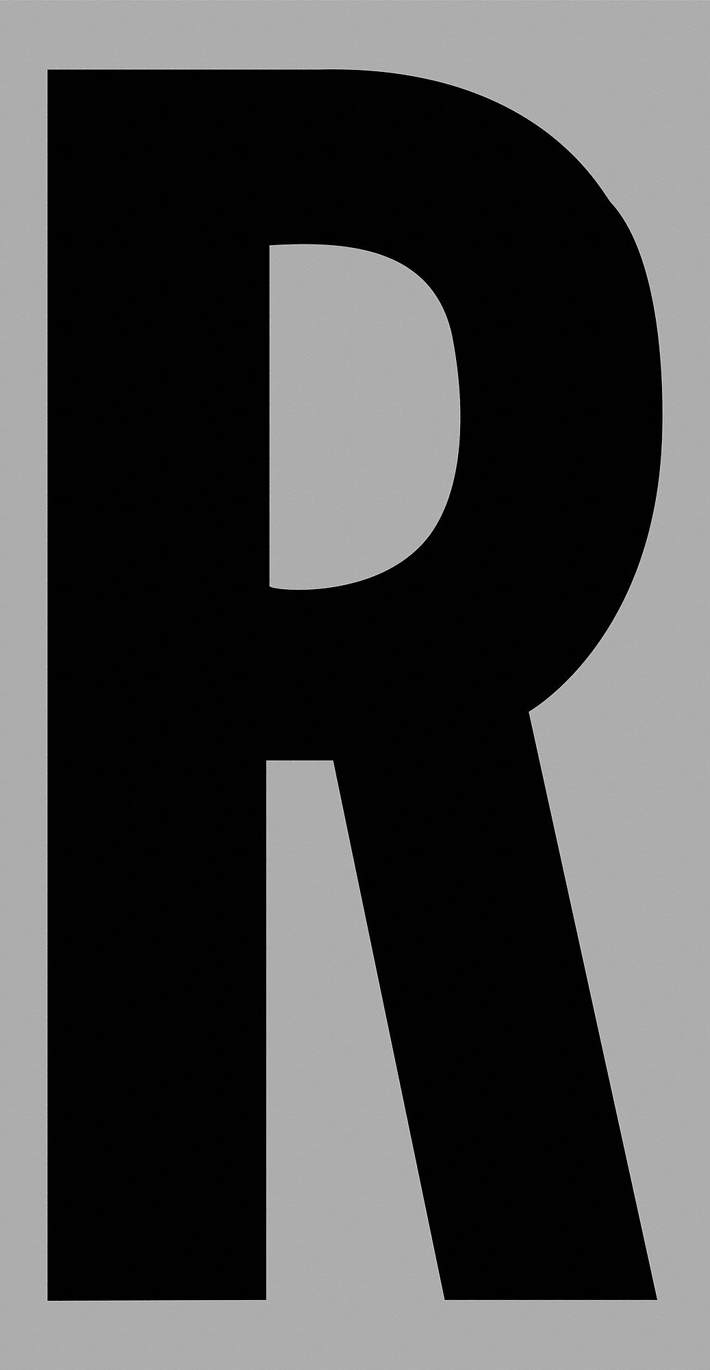 Letter Label, R, Black/Silver, 3 in Character Height, 1 EA - Grainger