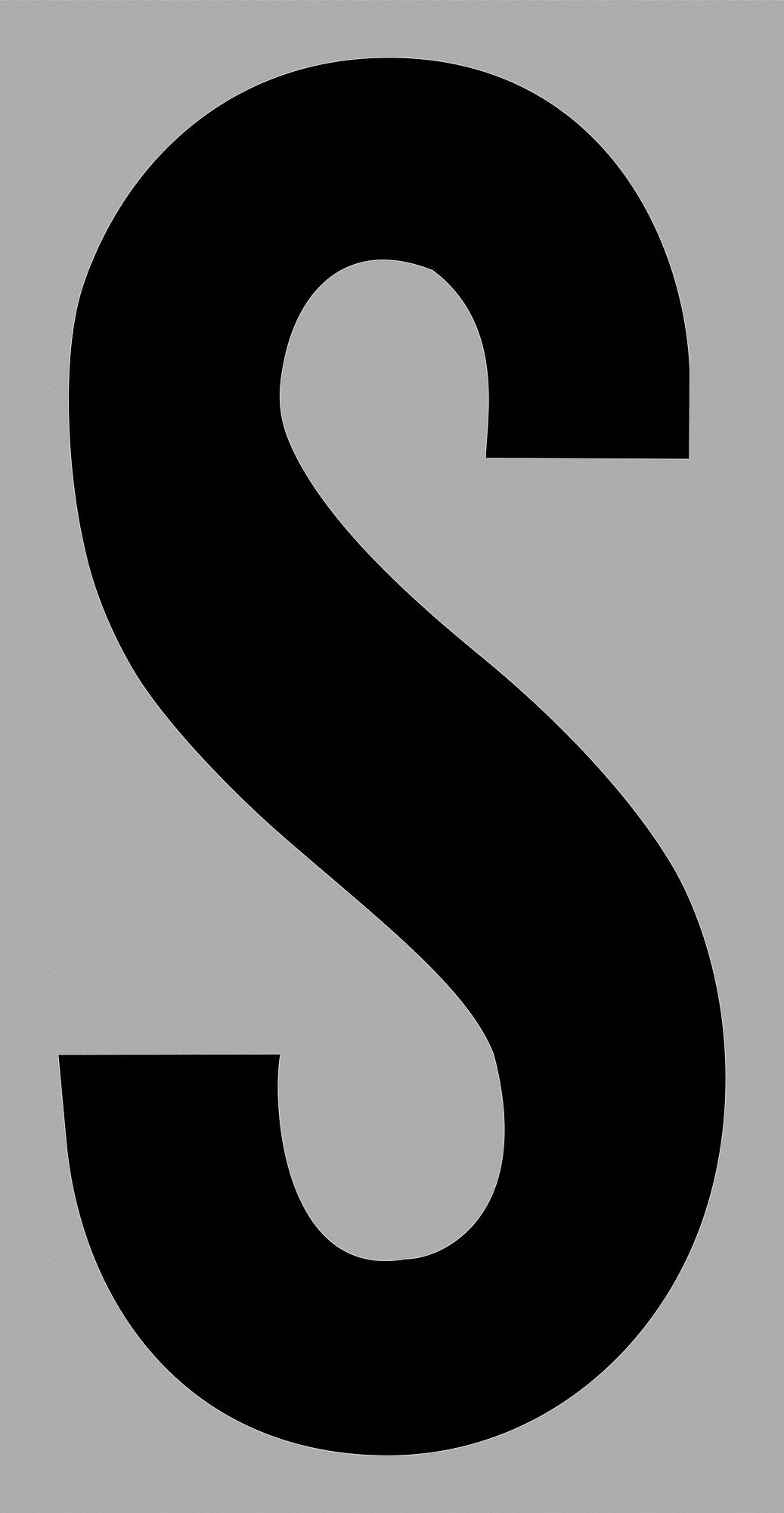 Letter Label, S, Black/Silver, 3 in Character Height, 1 EA - Grainger