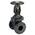 Cast Iron & Ductile Iron General Purpose Gate Valves - Grainger ...
