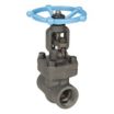 Carbon Steel Gate Valves for Petroleum & Gas Industry - Grainger ...