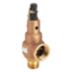 Steam Pressure Relief Valves - Grainger Industrial Supply