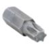 Torx & Torx Plus Screwdriver Bits - Grainger Industrial Supply