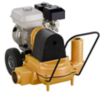 Sludge Pumps - Grainger Industrial Supply